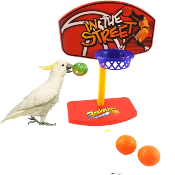 Mini Basketball Bird Training Toy | Interactive Parrot Toy