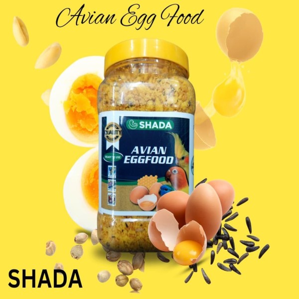 Shada Aviyan Bird Egg Food 100gm Bangladesh